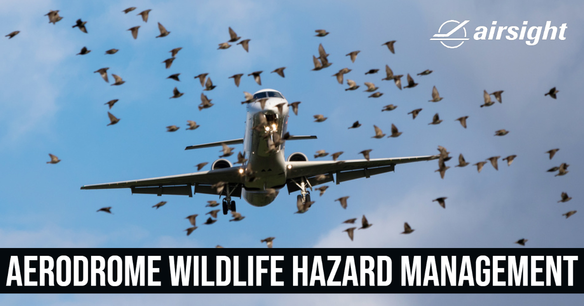 Aerodrome Wildlife Hazard Management - Training - airsight